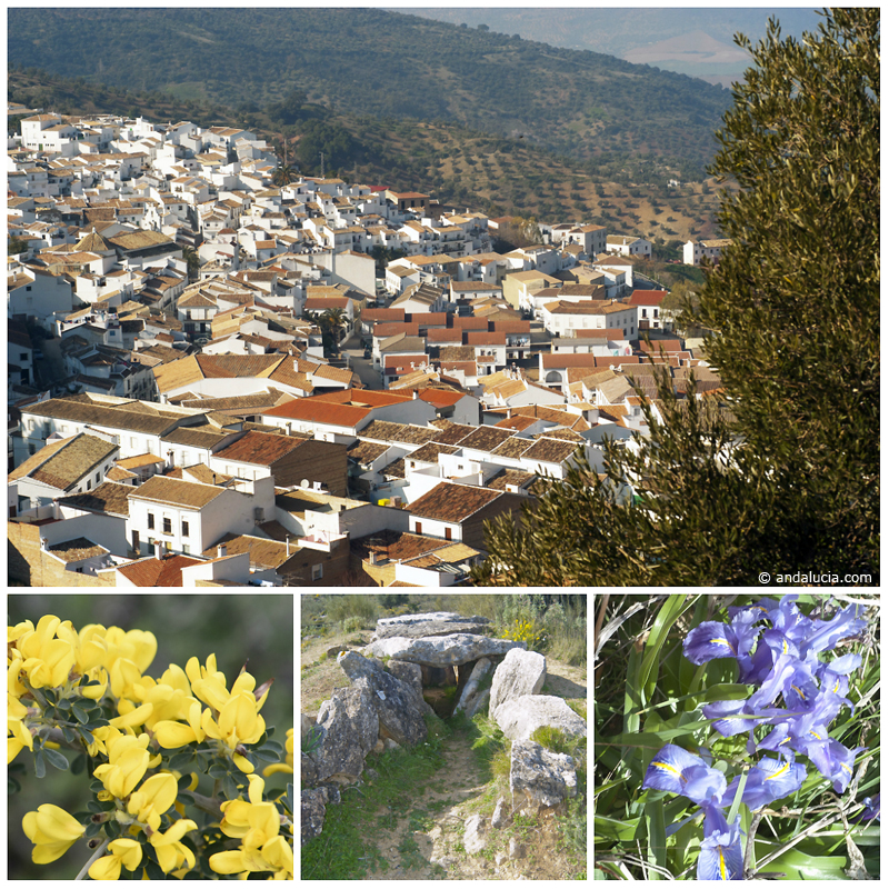 The village of El Gastor in the Cadiz province, Andalucia, Southern Spain