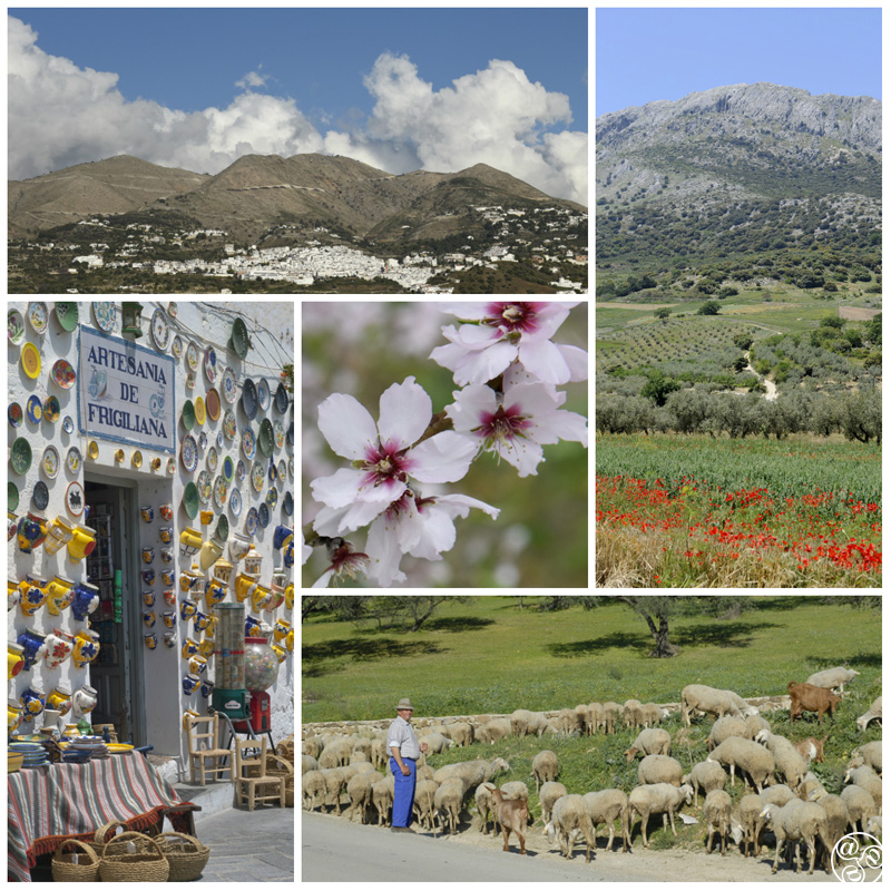 La Axarquia, the inland area in the east of Malaga province, Andalucia ...