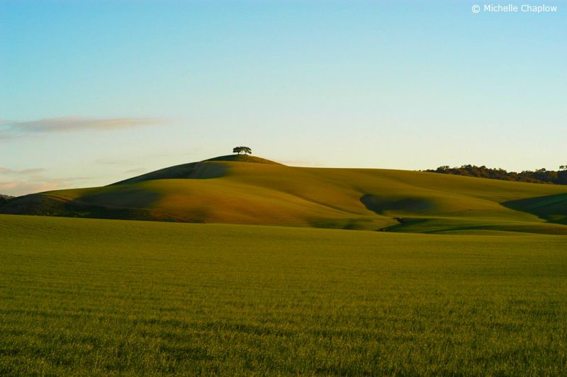 Fertile Plains of Andalucia | Environment | Andalucía.com