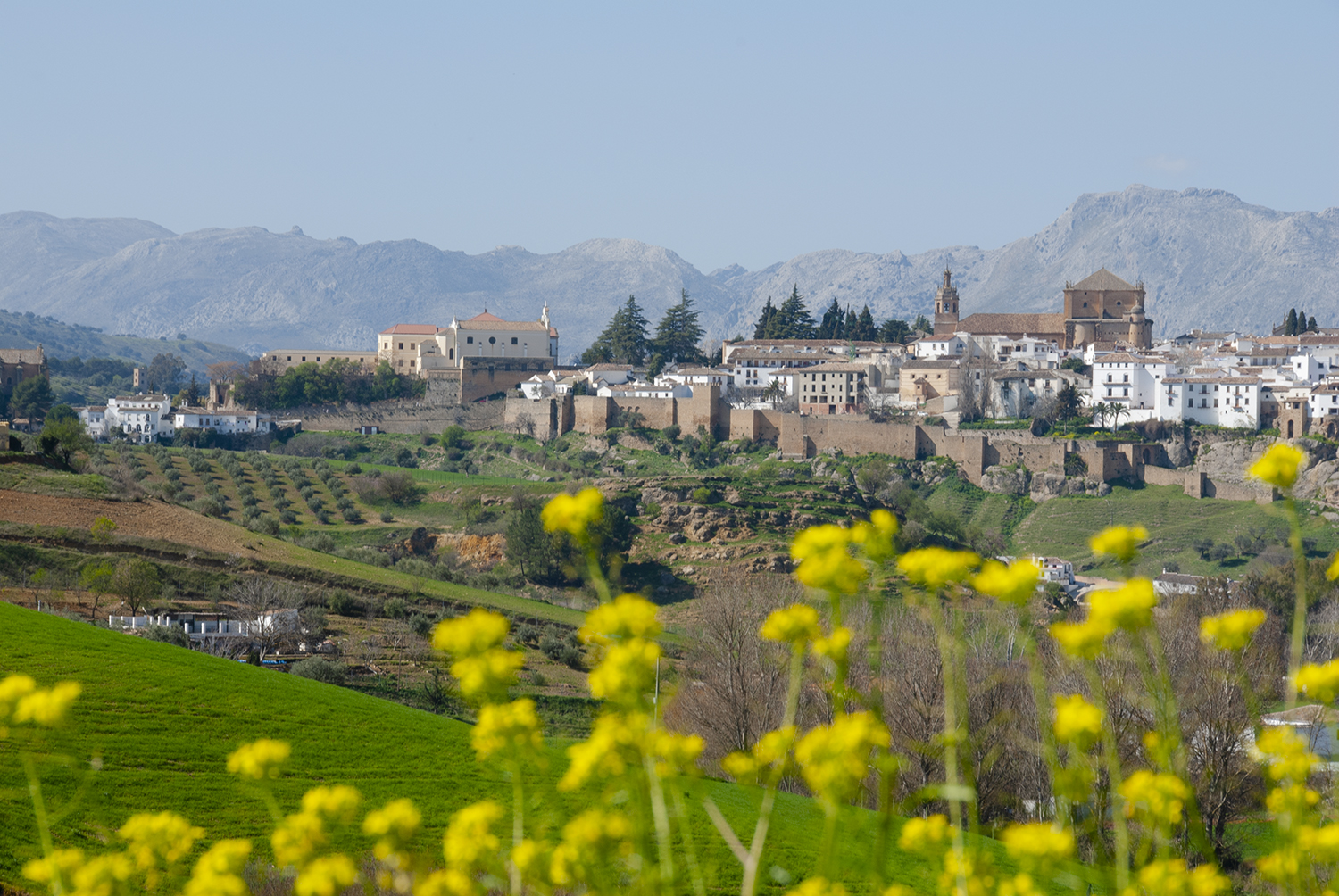 San Pedro to Ronda road Itineraries | Travel & Tourism information in ...
