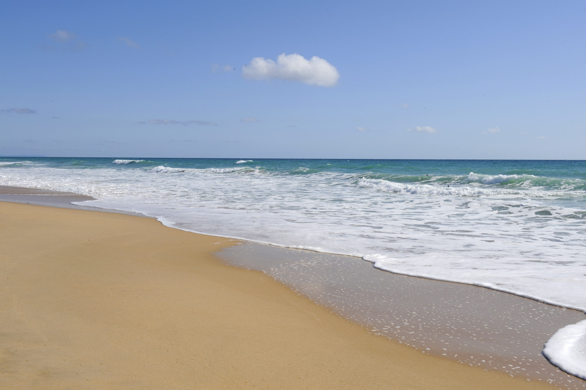 The Coastal Town of El Palmar - Costa de la Luz | Cadiz | Andalucia.com