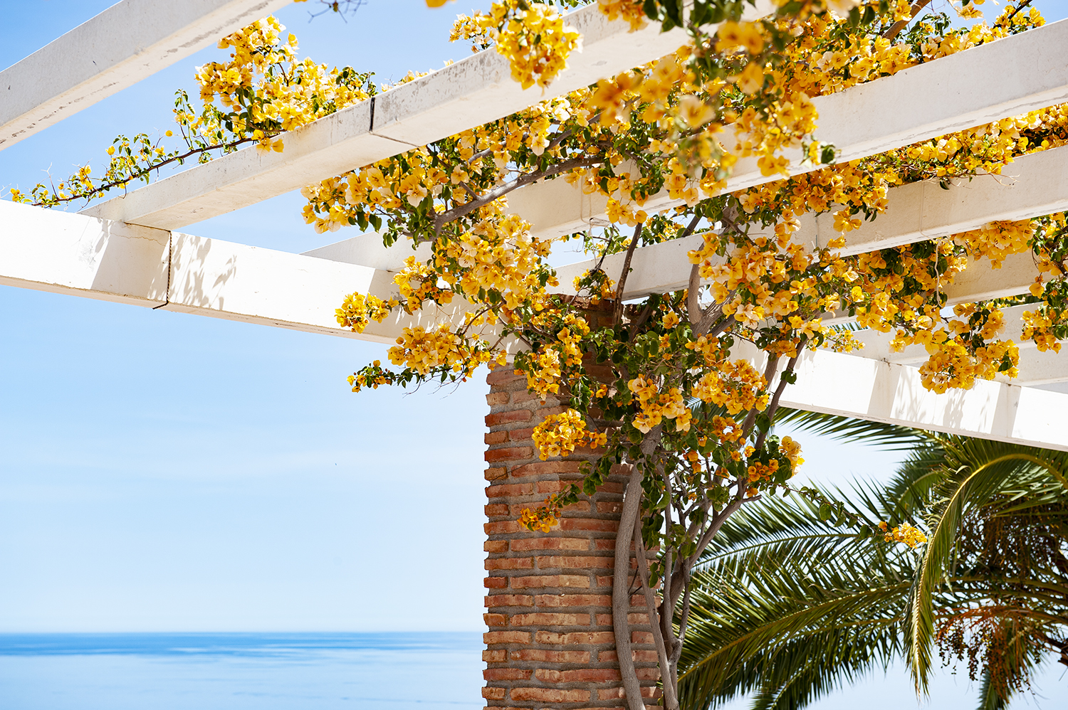 Maro | Costa del Sol seaside village near Nerja east Malaga | Andalucia.com