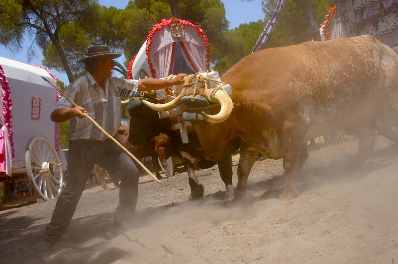 The El Rocio Pilgrimage, Lower Andalucia, Andalucia Magazine, festivals ...