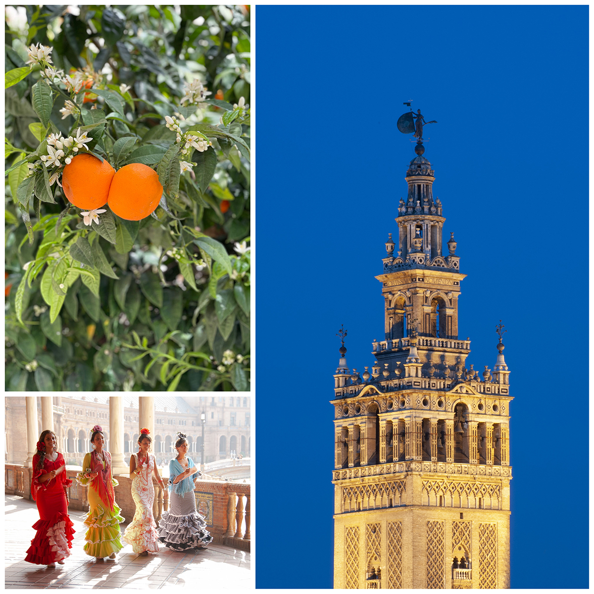 Fascinating Fact 1 | City of Seville | andalucia.com
