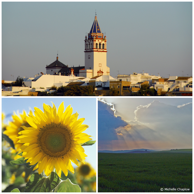 Utrera | village in the province of Seville | Andalucia.com