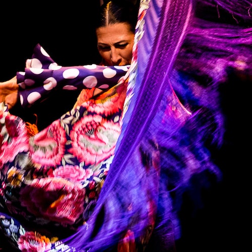Flamenco Dance Museum - Show Only | Andalucia.com