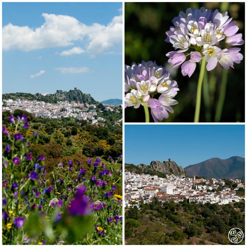 Stroll Around the village of Gaucin | Andalucia.com