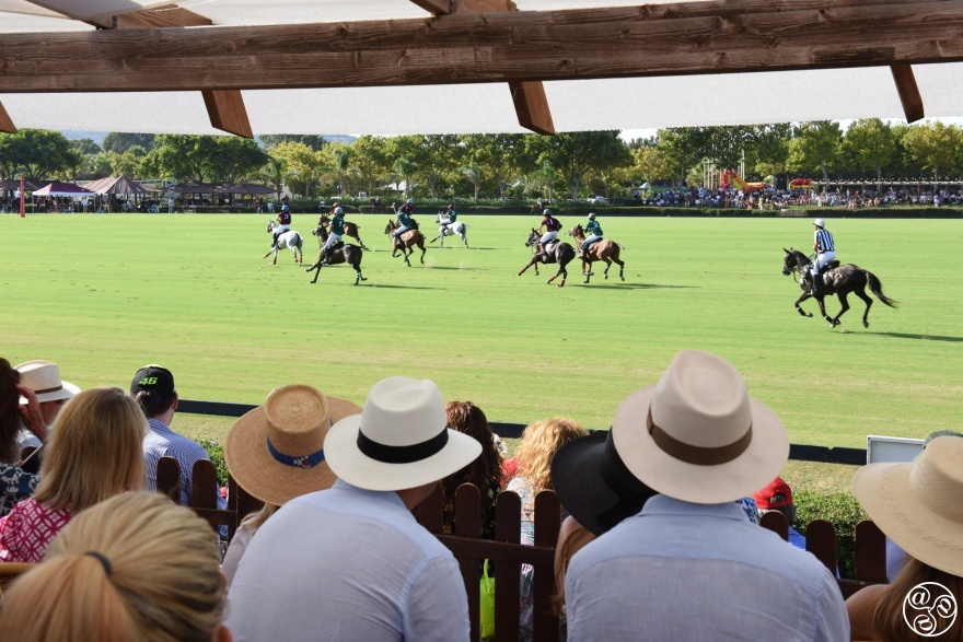 About the Game of Polo | The Game of Polo | Andalucia.com