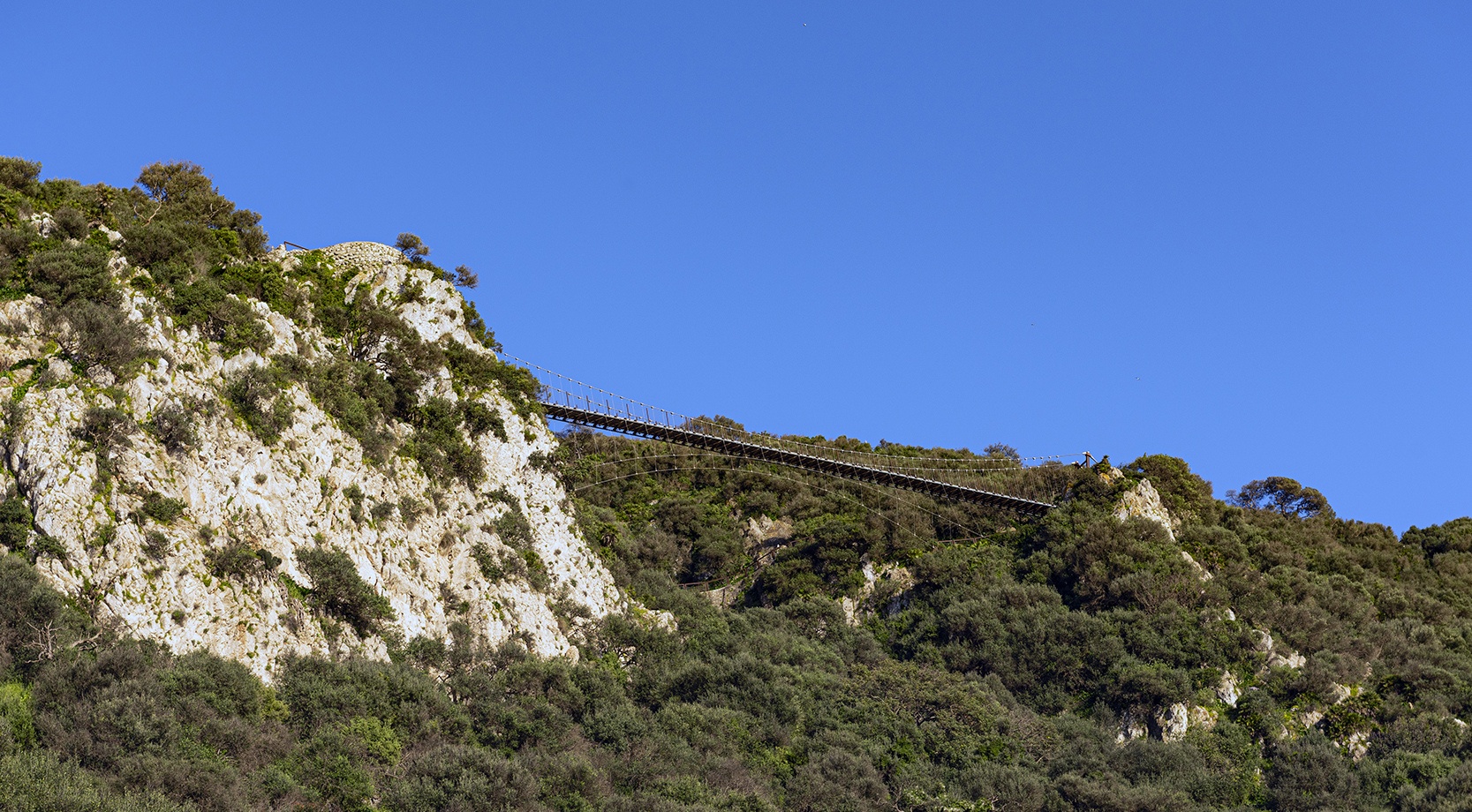 Upper Rock Nature Reserve - Gibraltar | Andalucia.com